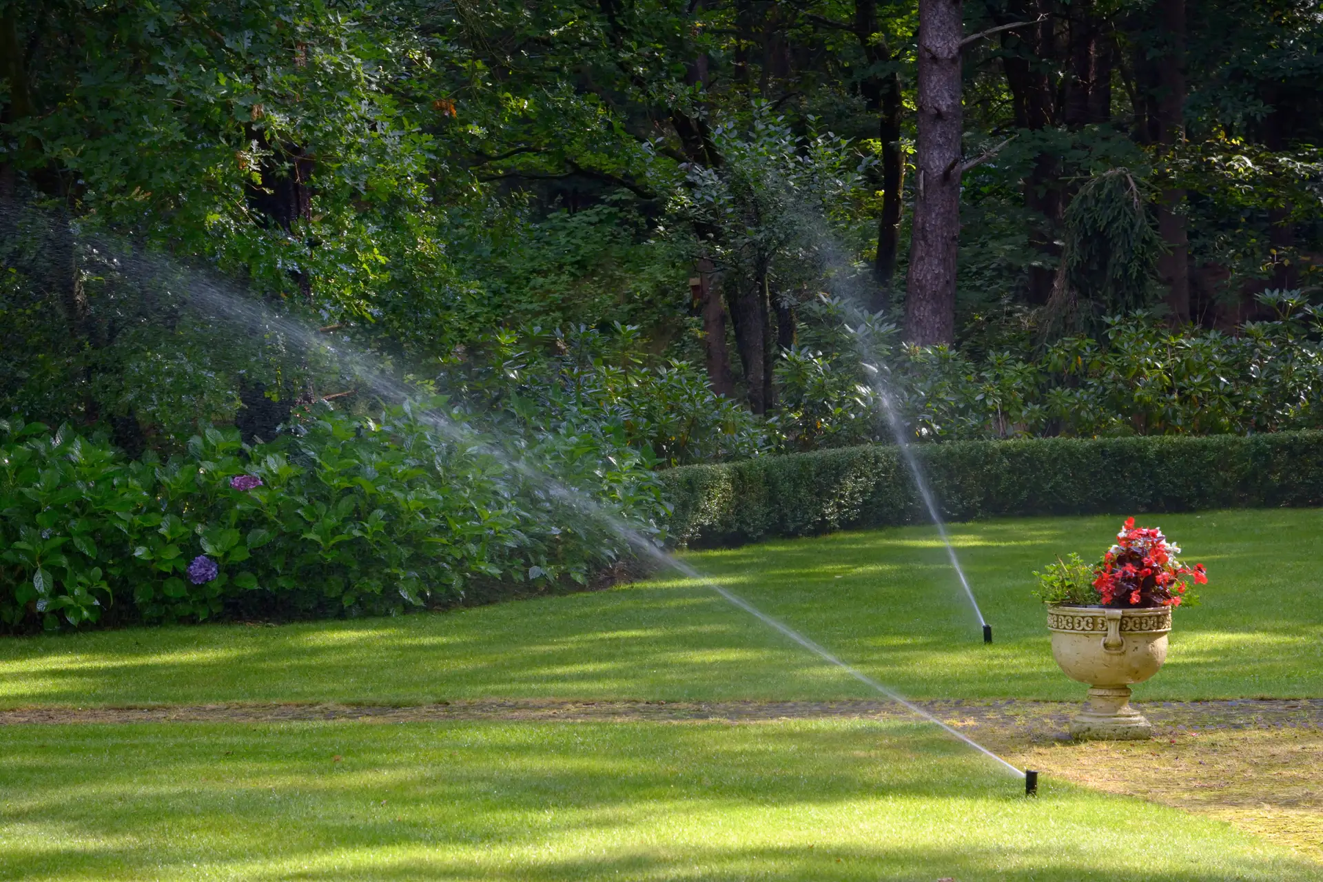 Tuinberegening: beregening op maat | Waterwel